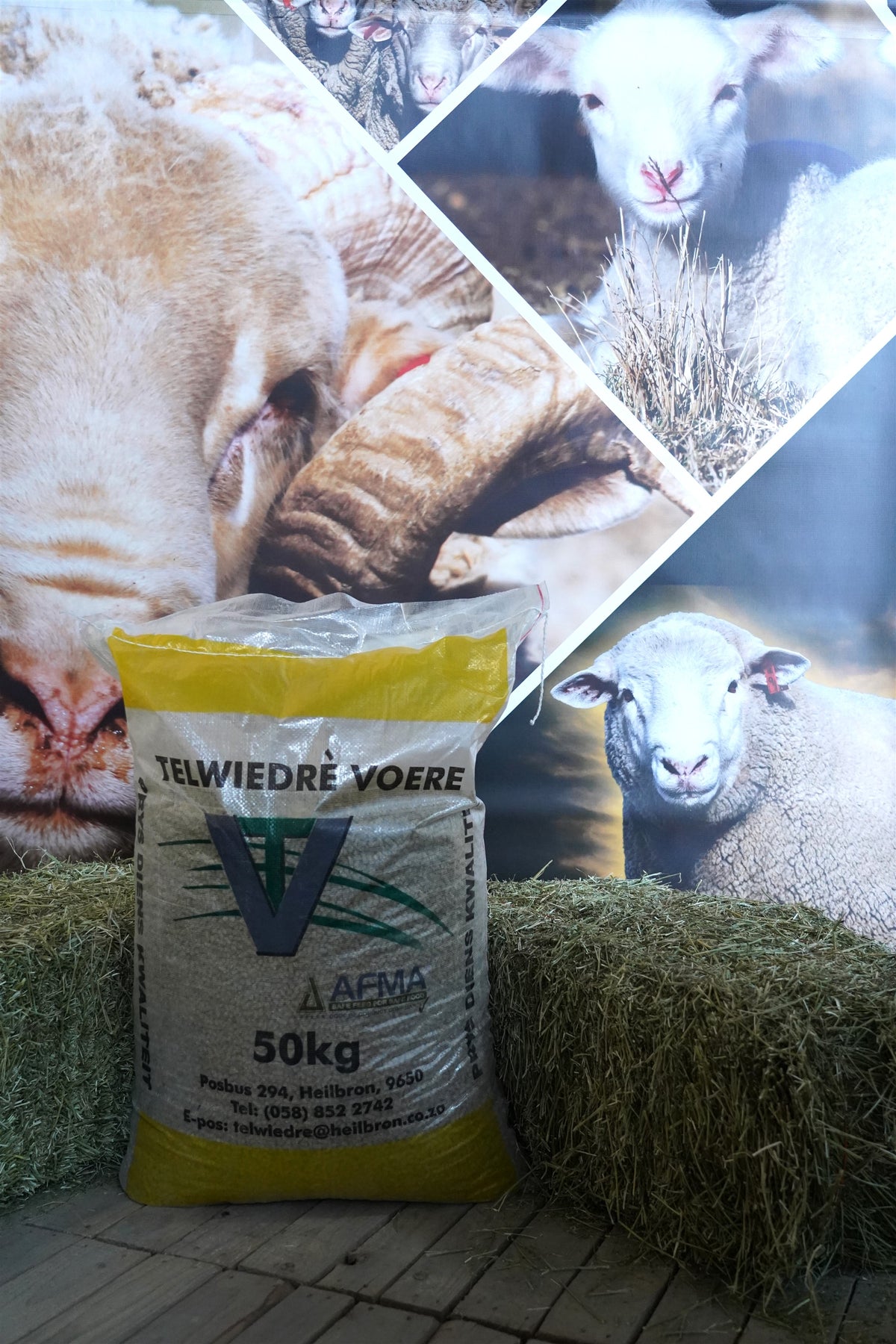 Sheep Grower – Telwiedre