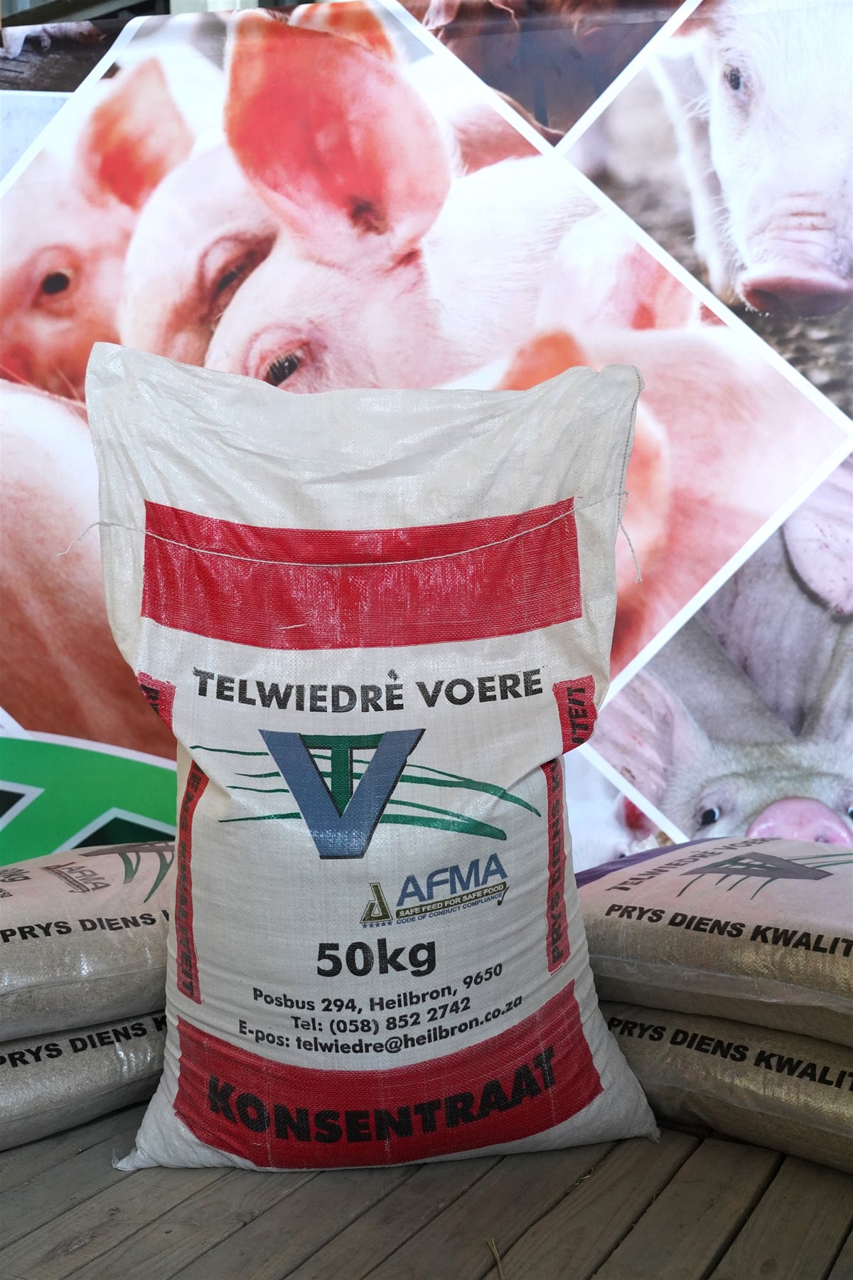 Pig Sow & Boar concentrate [HPC] – Telwiedre